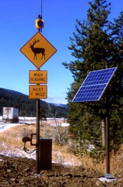 Moose Detection System for Teton Pass – Teton Tech Labs Lab